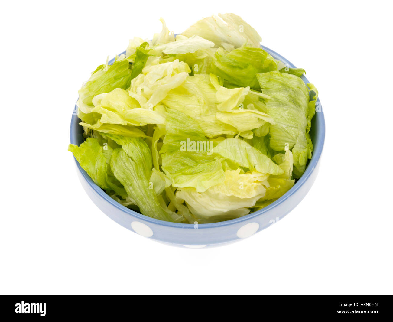 Bowl Of Chopped Fresh Healthy Iceberg Salad Lettuce Leaves Isolated ...