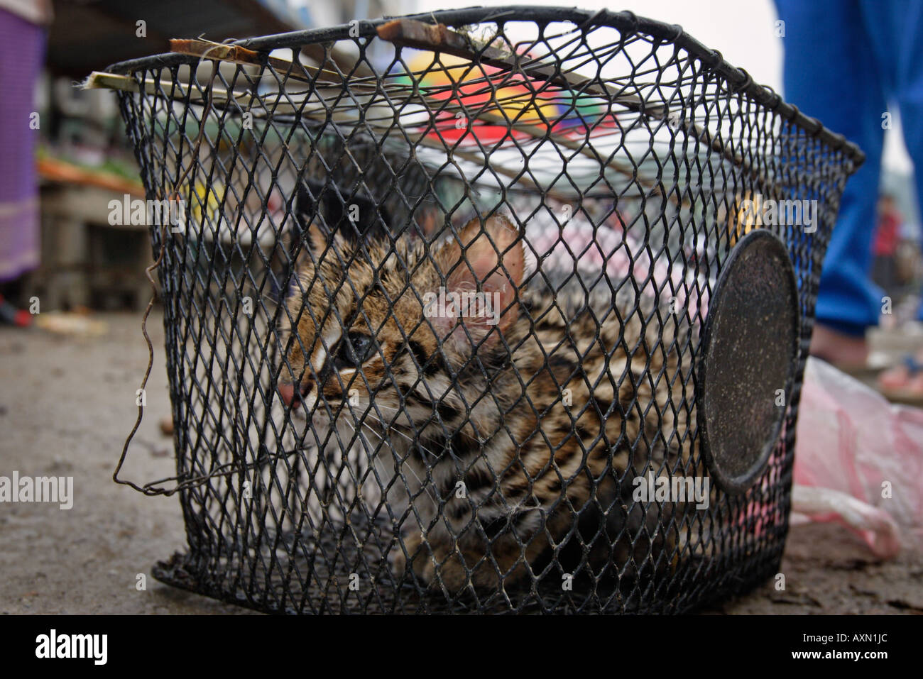 Sam neua hi-res stock photography and images - Alamy