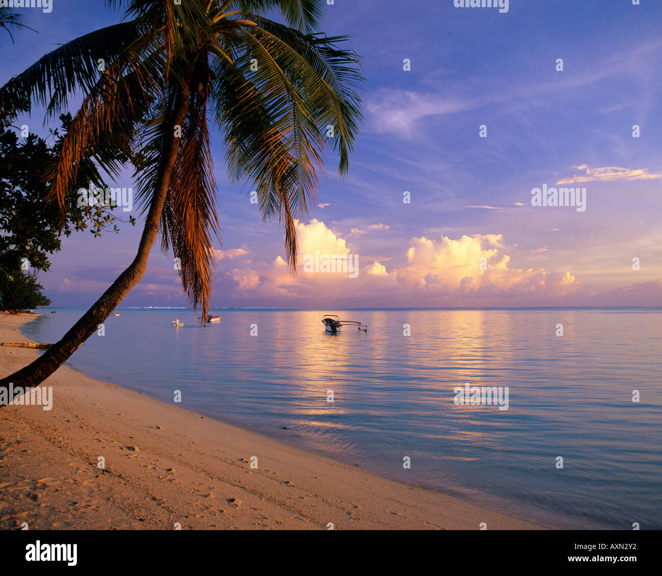 Matira Beach with coconut palm trees in Bora Bora, French Polynesia ...
