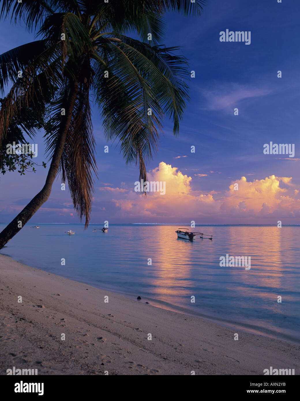 Matira Beach with coconut palm trees in Bora Bora, French Polynesia ...