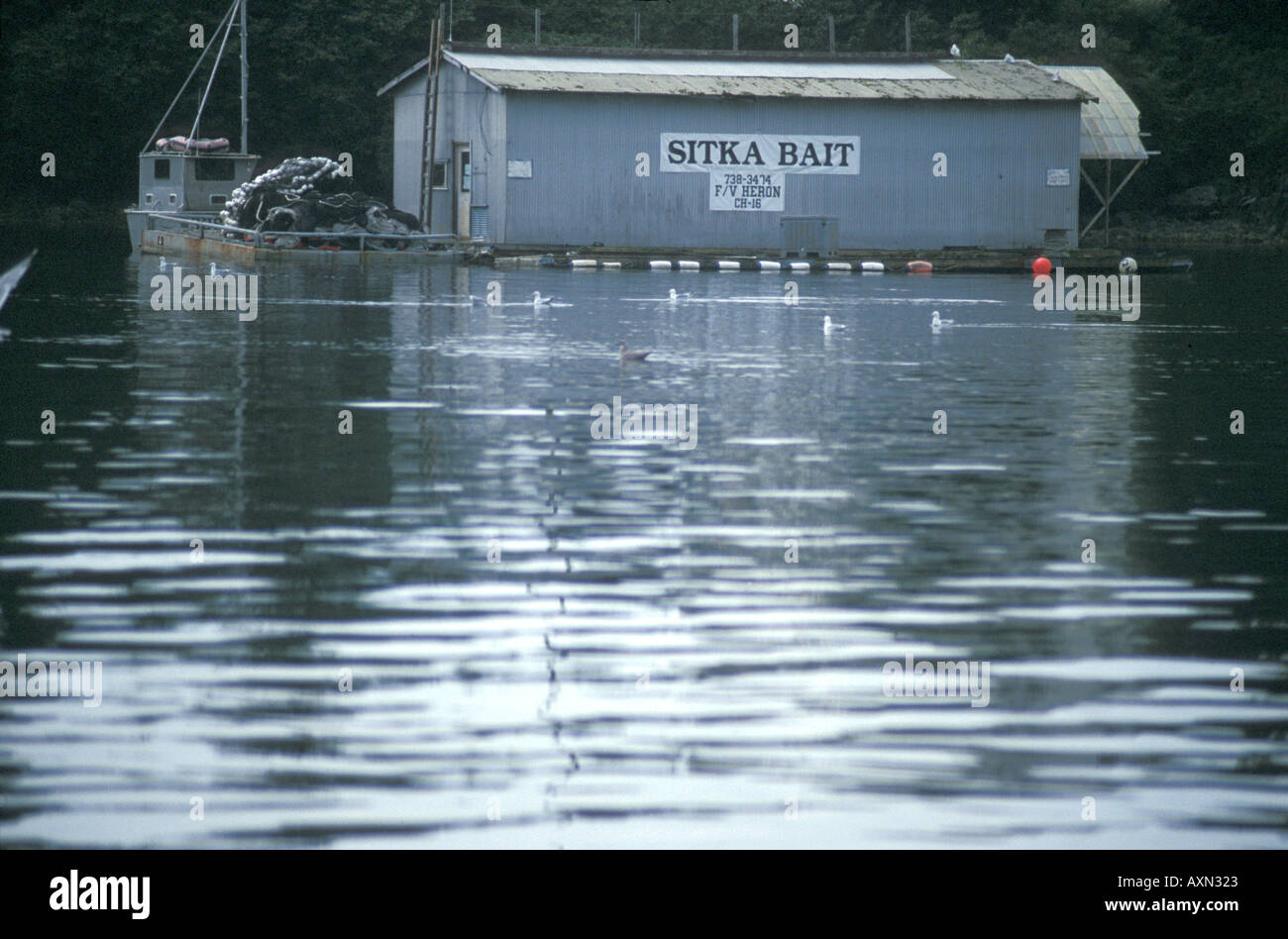 Alaska sitka boats harbor hi-res stock photography and images - Alamy