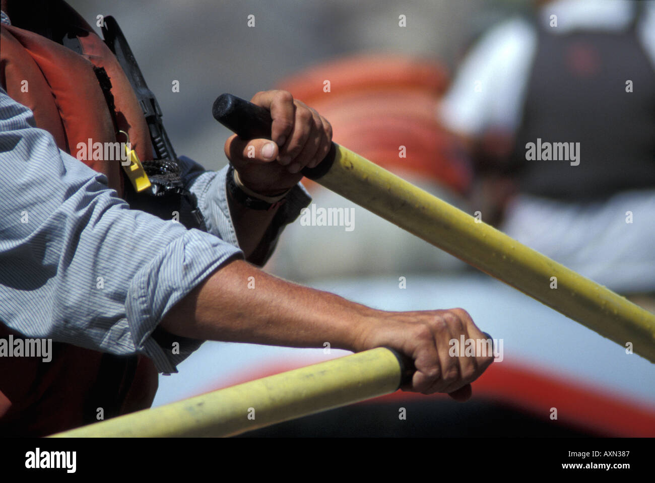 River raft guide manipulating the oars on an inflatable river raft on ...