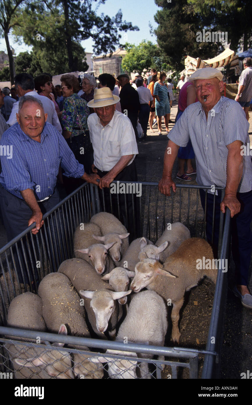 animal market sheep Stock Photo - Alamy