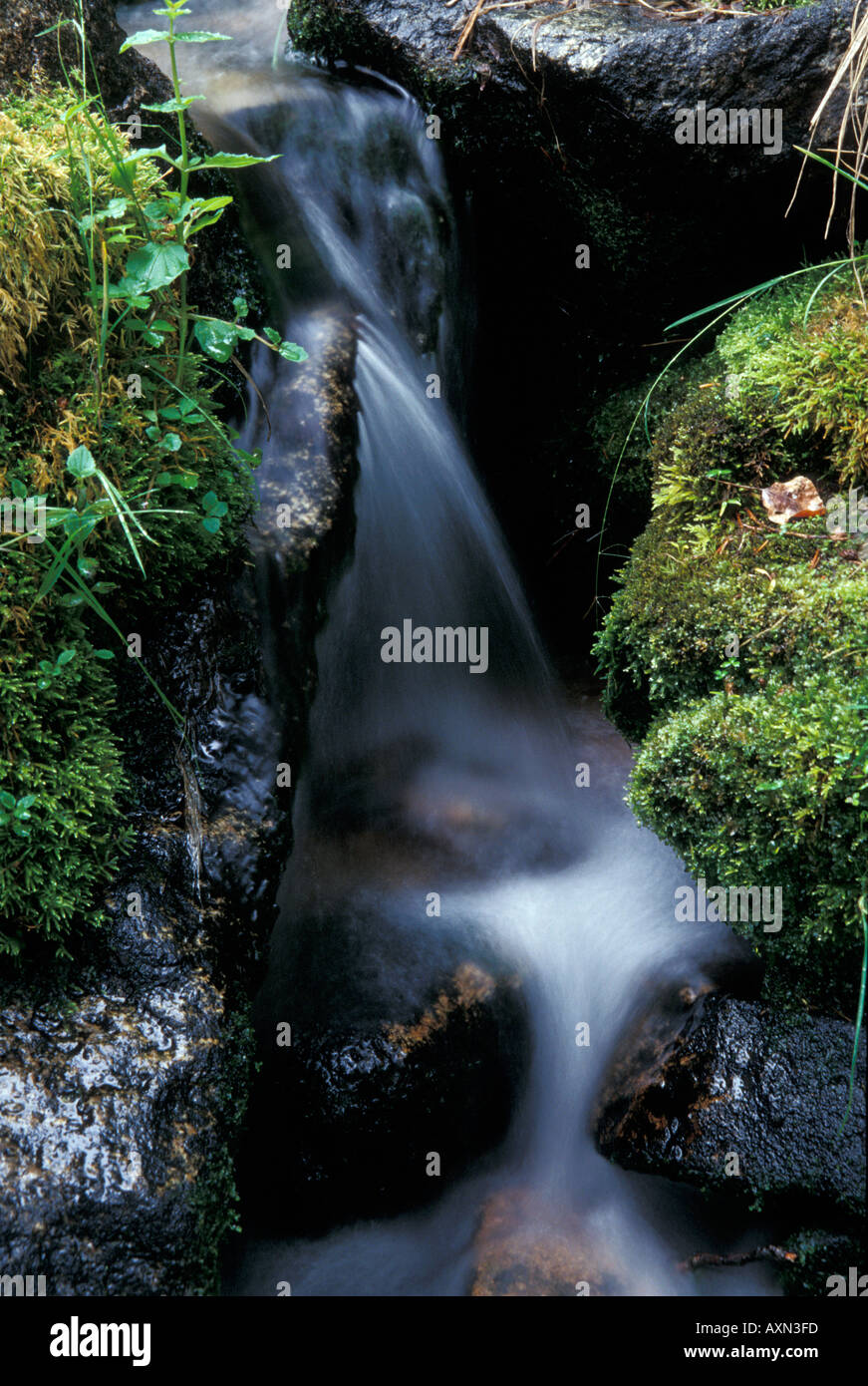 Motion capture hi-res stock photography and images - Alamy