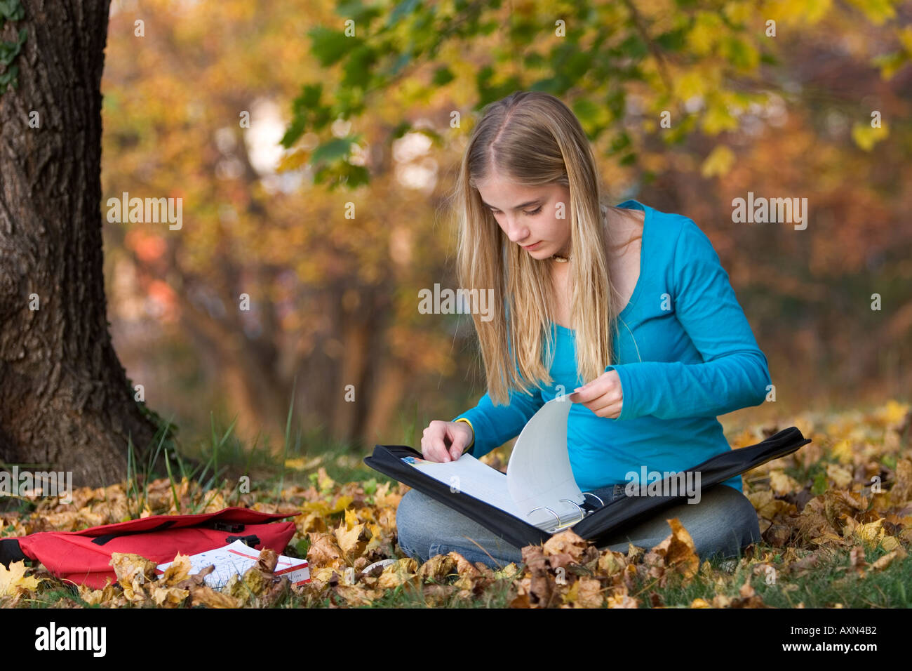 teen girl studying underneath a tree Stock Photo - Alamy
