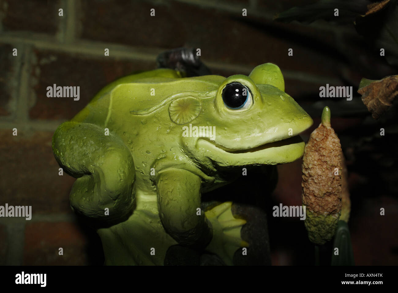 Slimy frog hi-res stock photography and images - Alamy