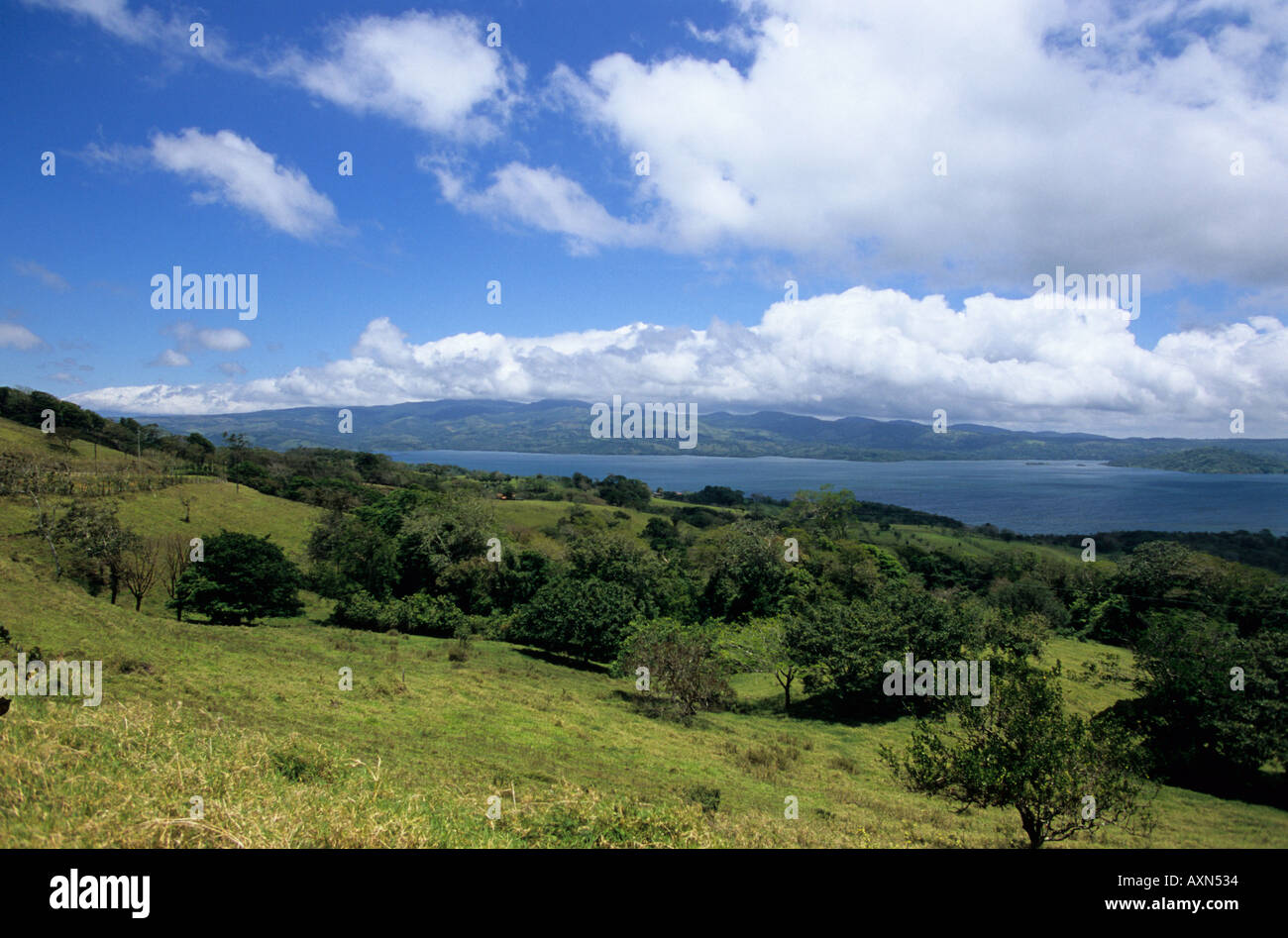 Artificial laguna hi-res stock photography and images - Alamy