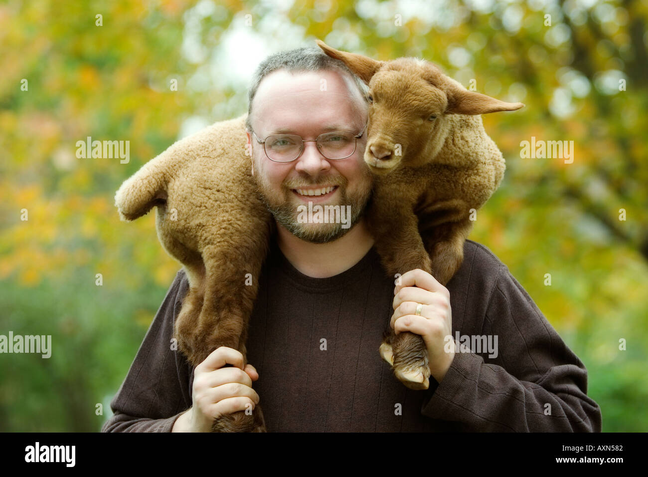 man holding baby lamb on his shoulders Stock Photo - Alamy