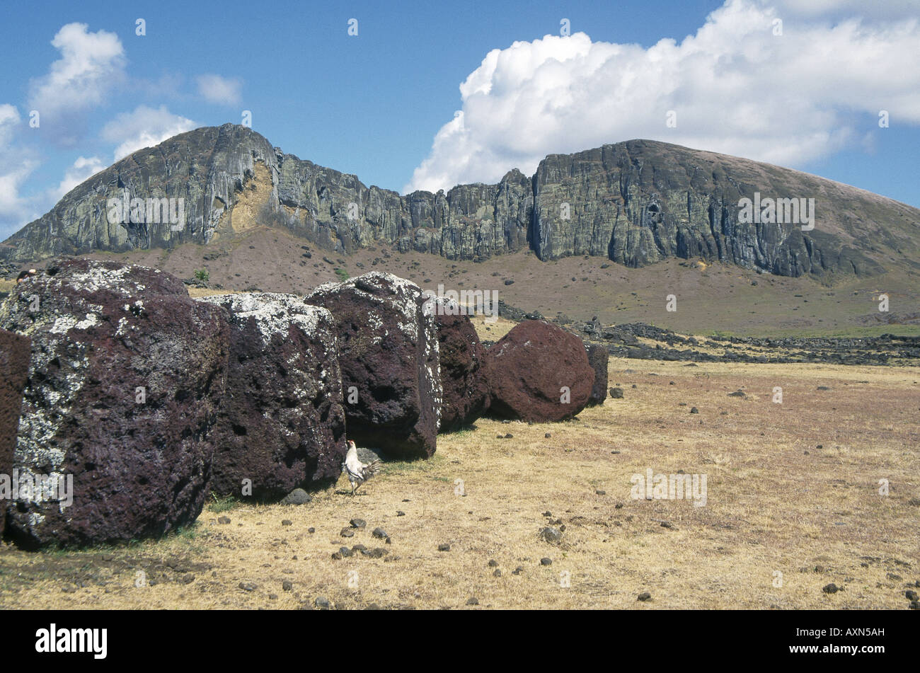 Rapa Nui Red stone blocks Top knots pukao for maoi giant heads In row ...