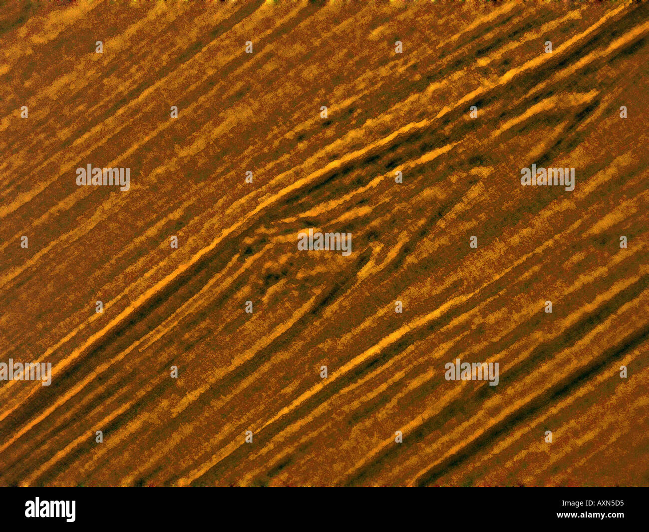 Raised grain hi-res stock photography and images - Alamy