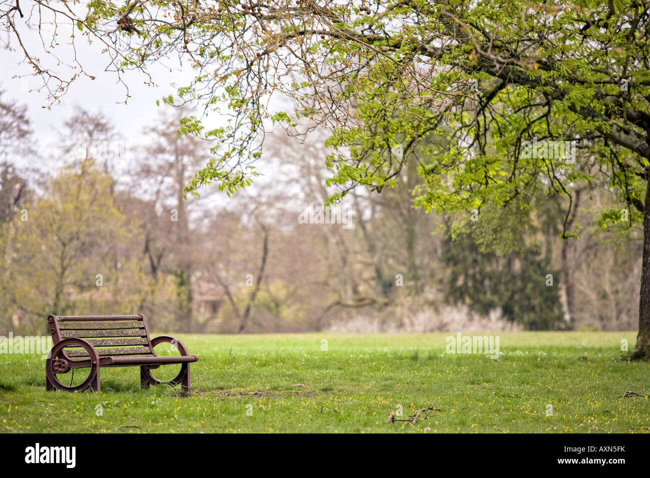 bench in a fresh green park at springtime focus on bench Stock Photo ...