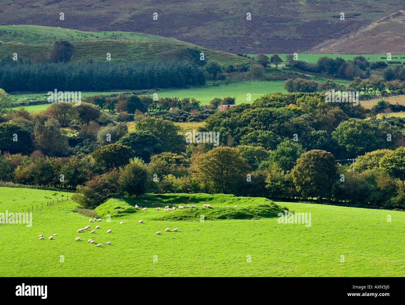 Iron Age rath fortified farmstead at Tamniarin, Benedy Glen. 1500 years ...