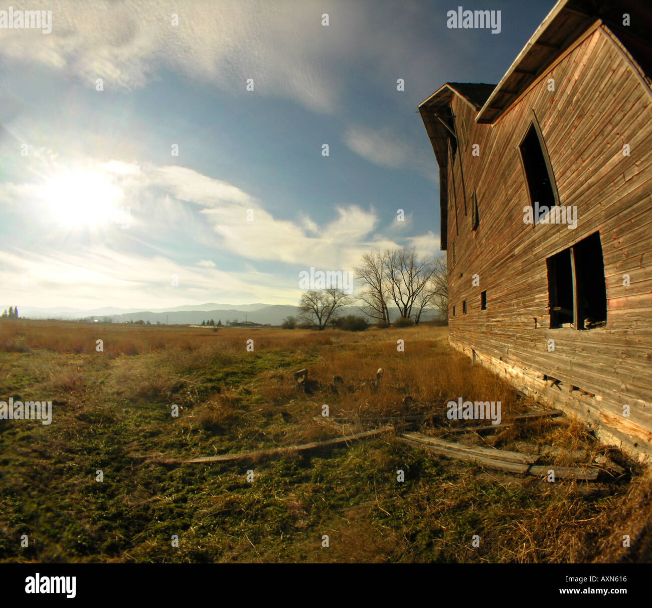 Jodie dry hi-res stock photography and images - Alamy