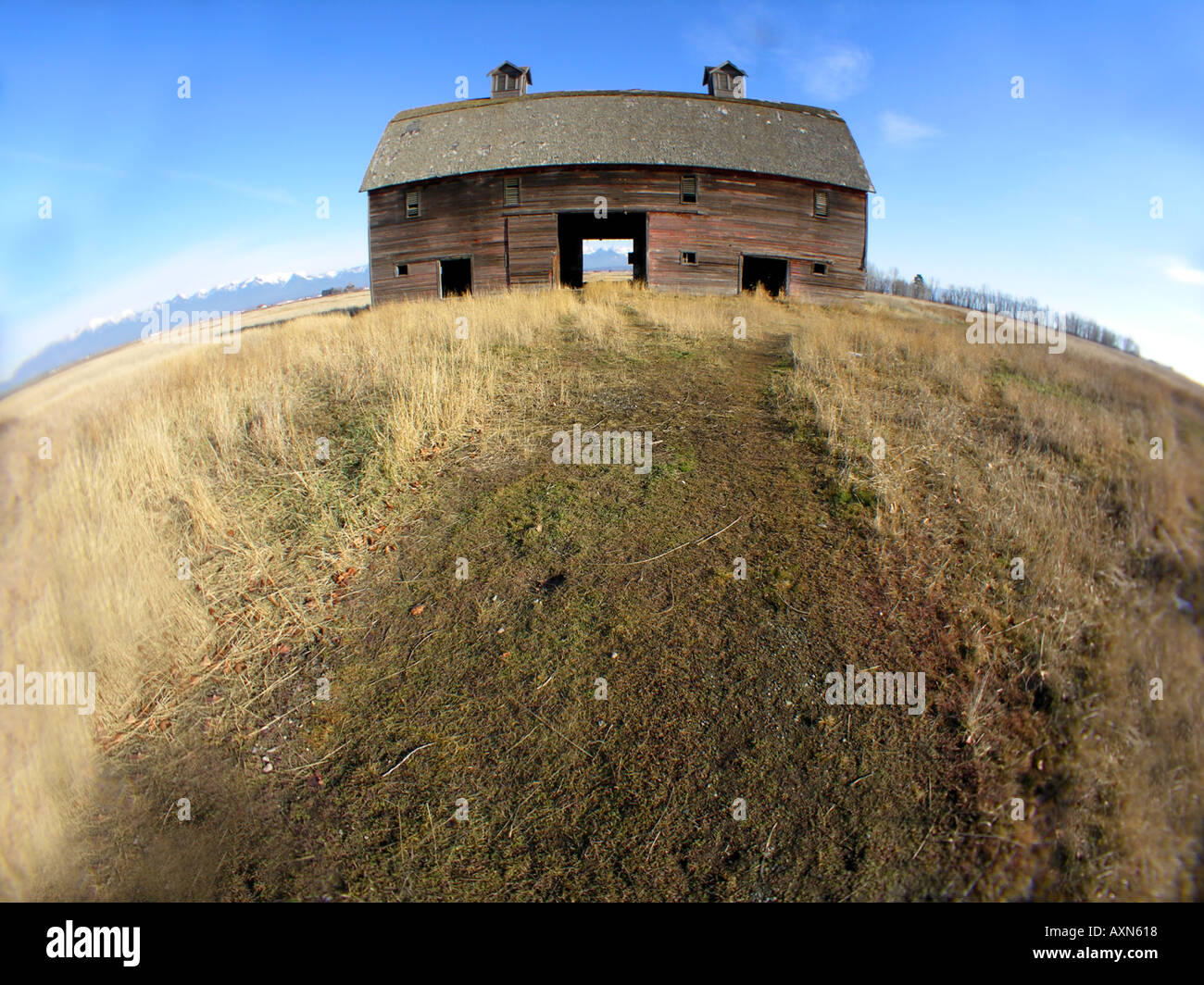 Montana grass top view hi-res stock photography and images - Alamy