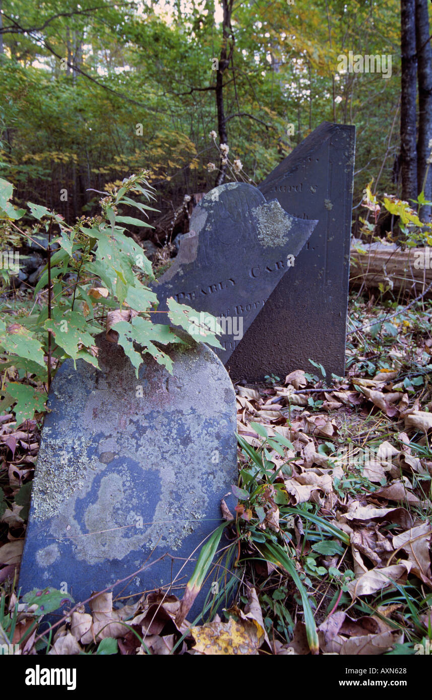 Old weathered headstones at Tower Road Cemetery at Pawtuckaway State ...