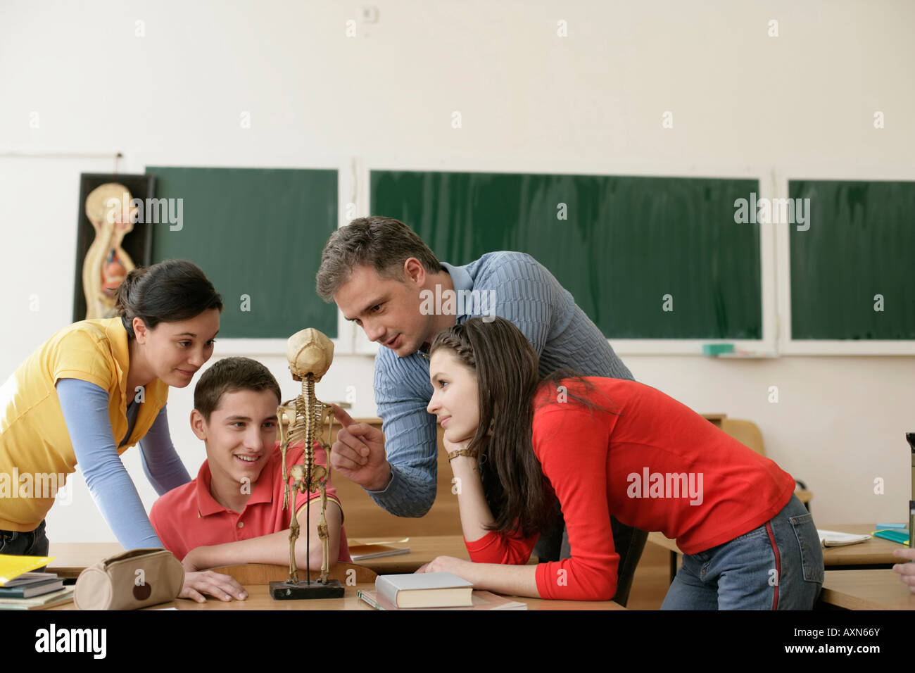 Class Skeleton High Resolution Stock Photography and Images - Alamy