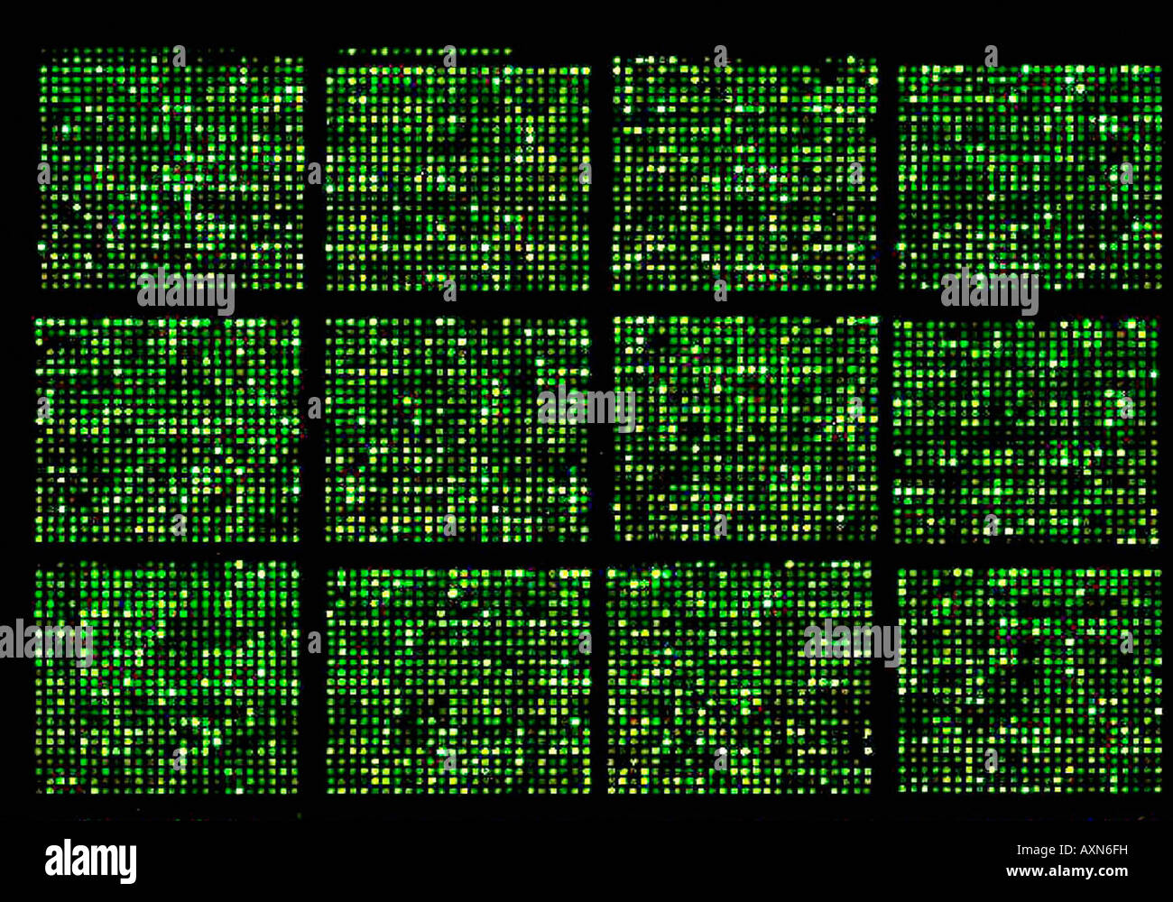 Micro Array DNA Chip, human genome structure Stock Photo - Alamy