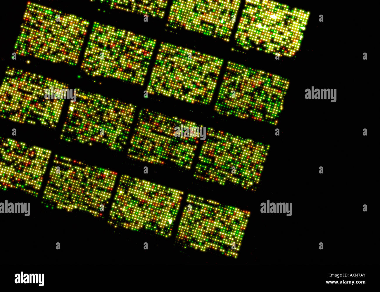 Dna Chip High Resolution Stock Photography and Images - Alamy