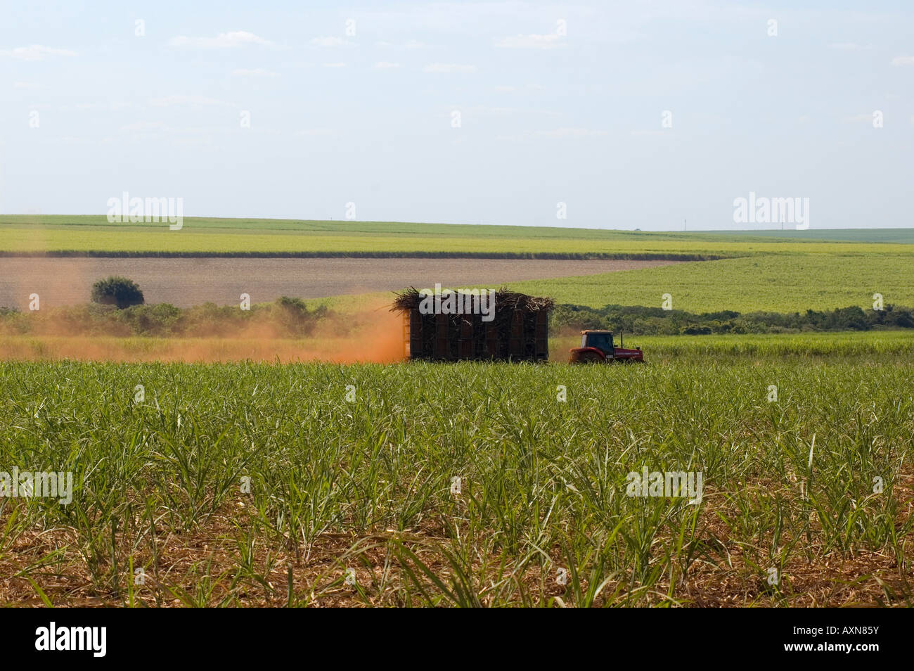 Cane container hi-res stock photography and images - Alamy