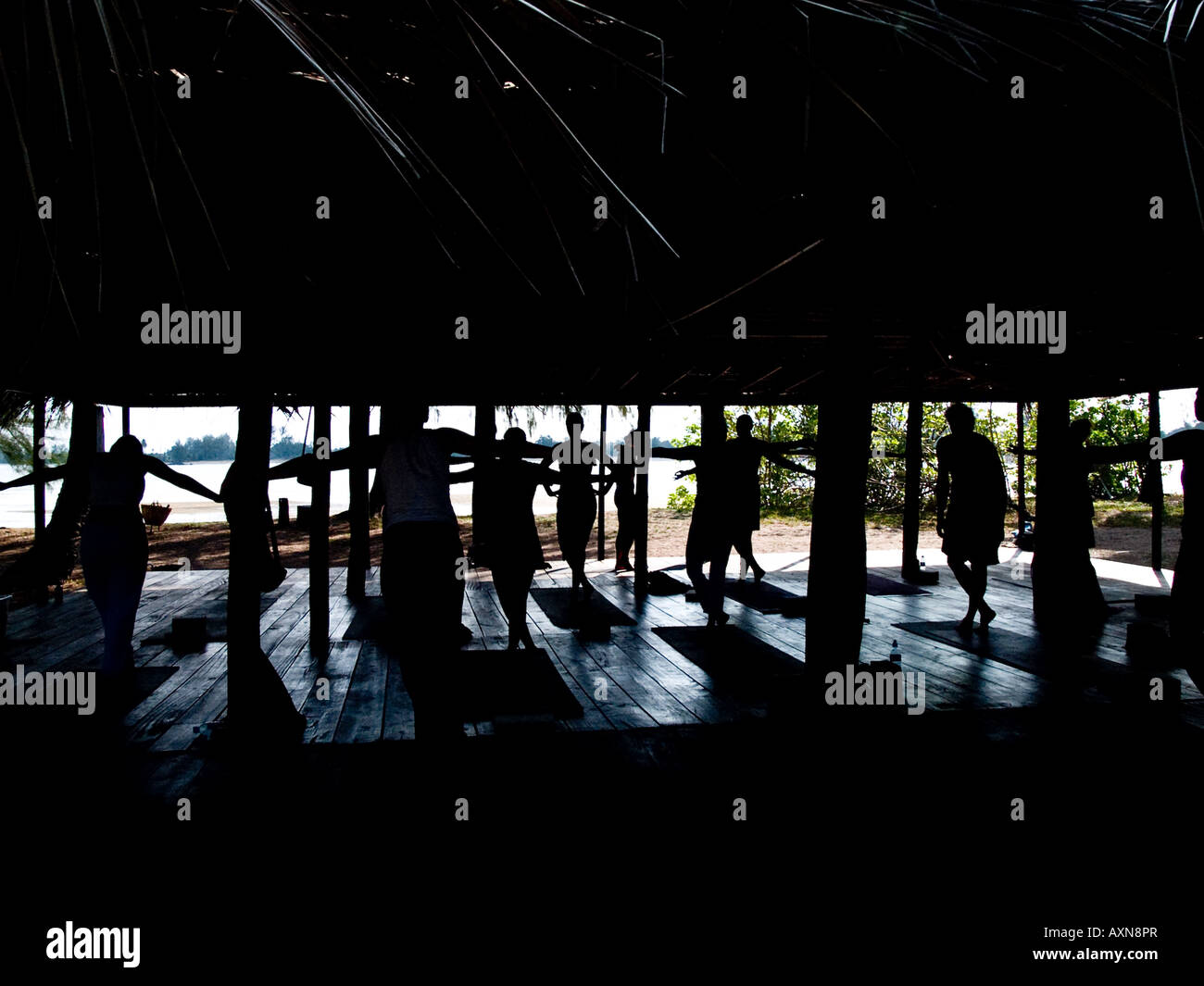 Shala tree hi-res stock photography and images - Alamy