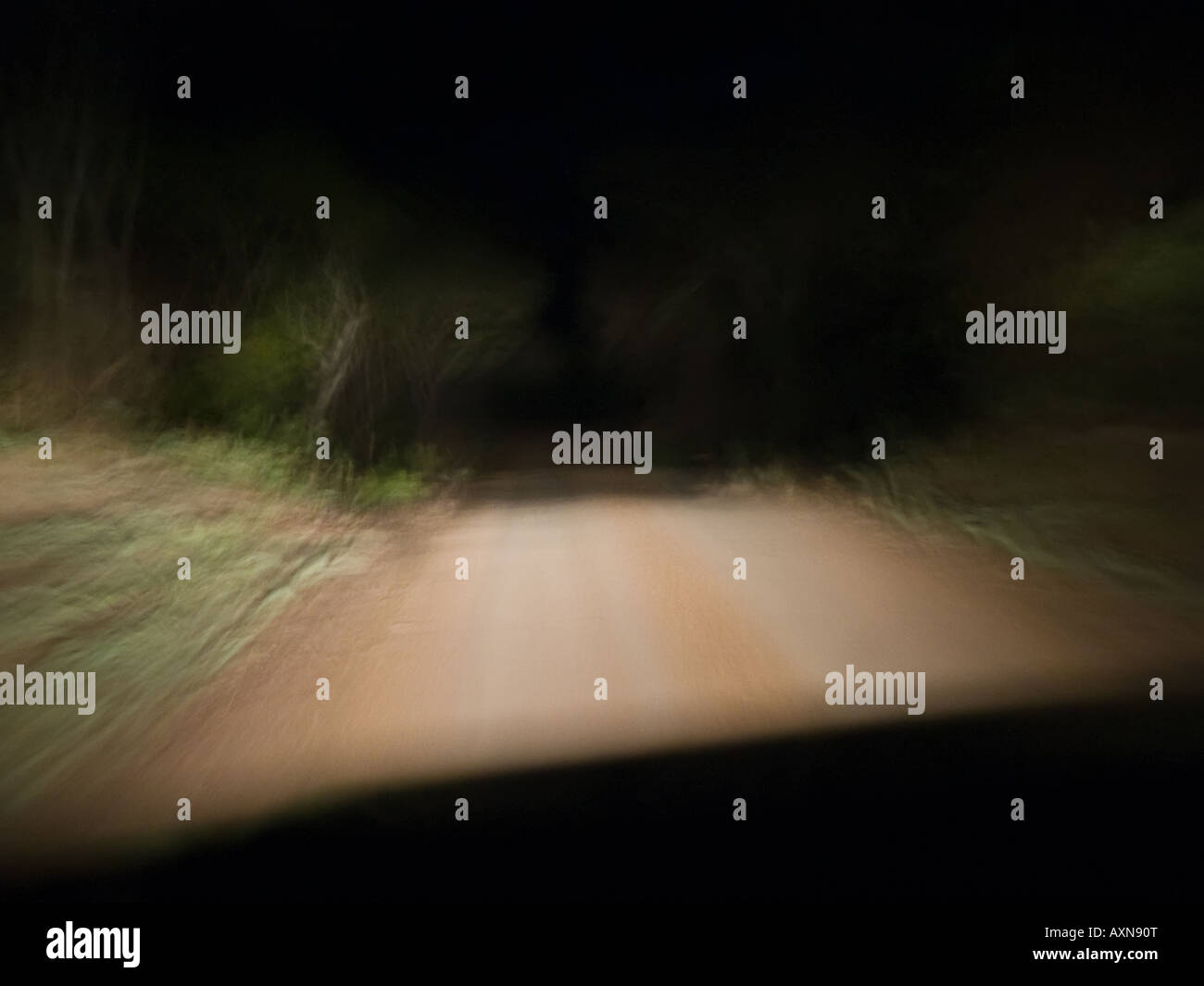 African bush drive along dirt road at night Stock Photo - Alamy