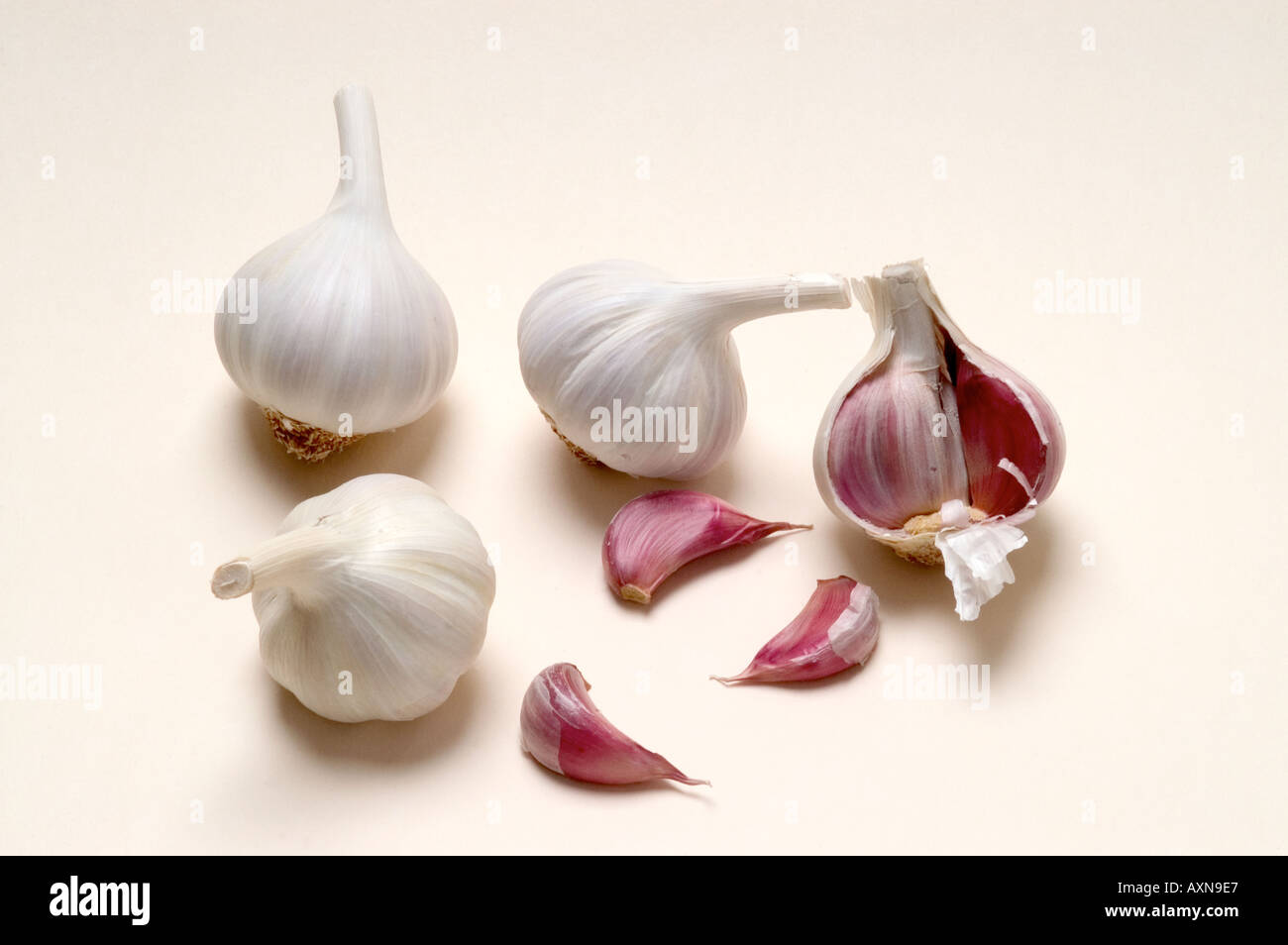 garlic cut out cropped white background outline cutout Stock Photo - Alamy