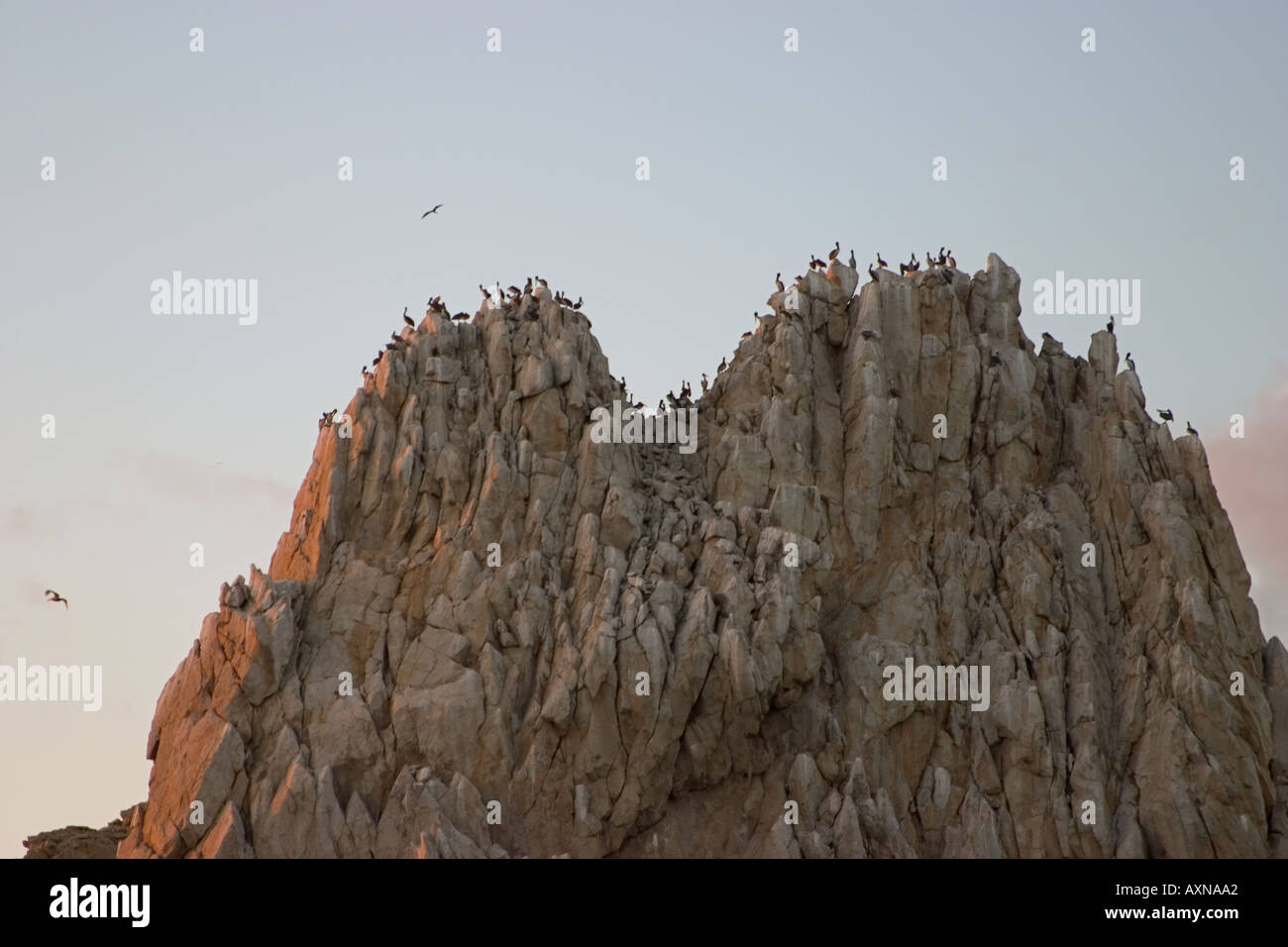 Pelican Rock at Sunset Cabo San Lucas Baja California Mexico Stock ...