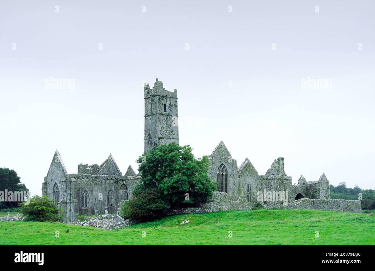 Quin abbey county clare ireland hi-res stock photography and images - Alamy