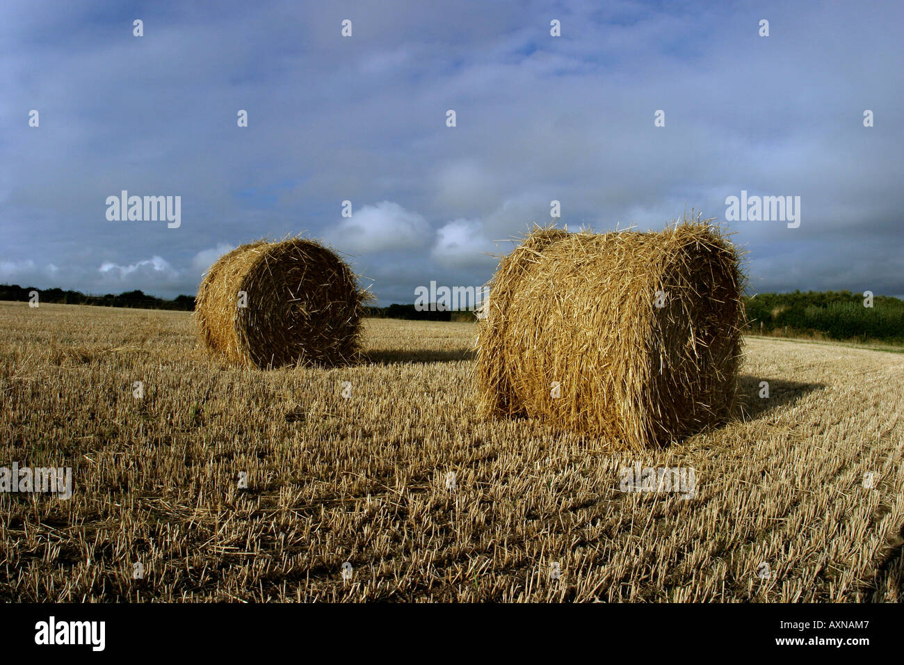 Fields countryside crops farming agriculture rural farm wales hi-res ...