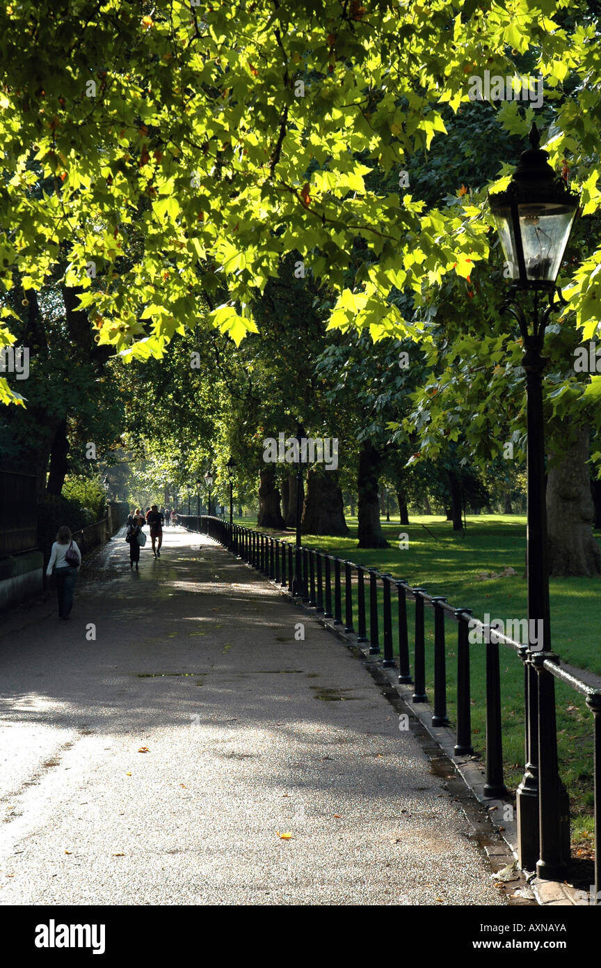 Saint James Park in London, UK Stock Photo - Alamy