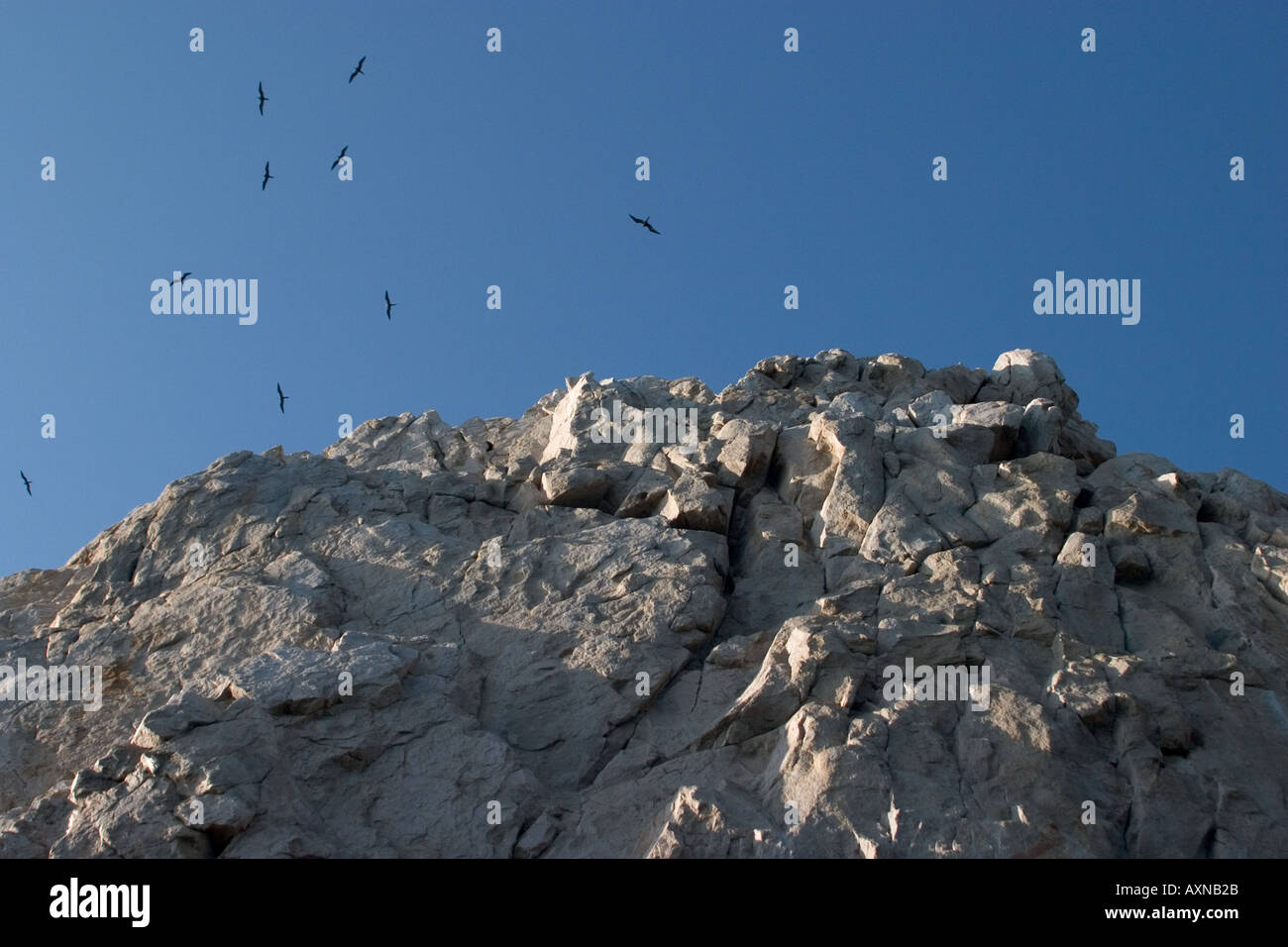 Pelican Rock closeup Cabo San Lucas Baja California Mexico Stock Photo ...