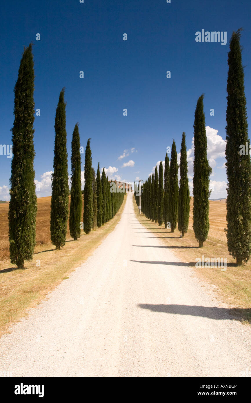 Cypress hi-res stock photography and images - Alamy