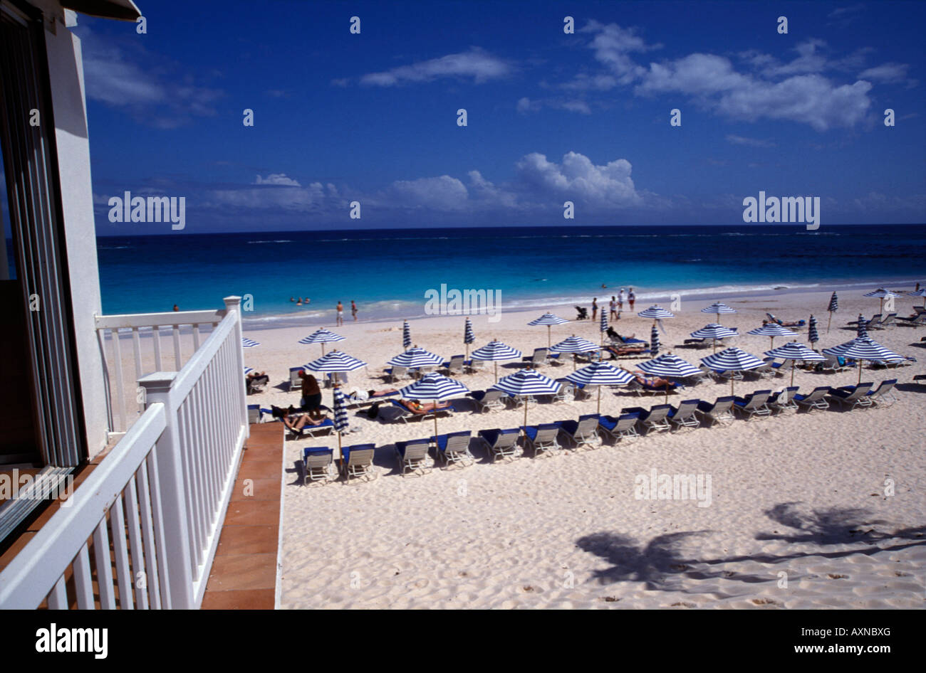 Pink sand beach and sun loungers, Elbow beach , Bermuda Stock Photo - Alamy