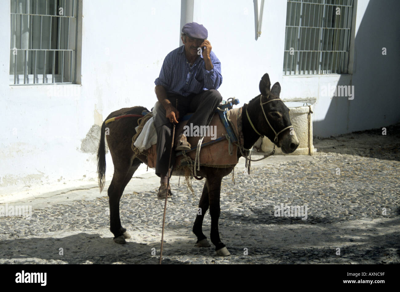 Greek man sitting on a donkey talking on his mobile phone Thira ...