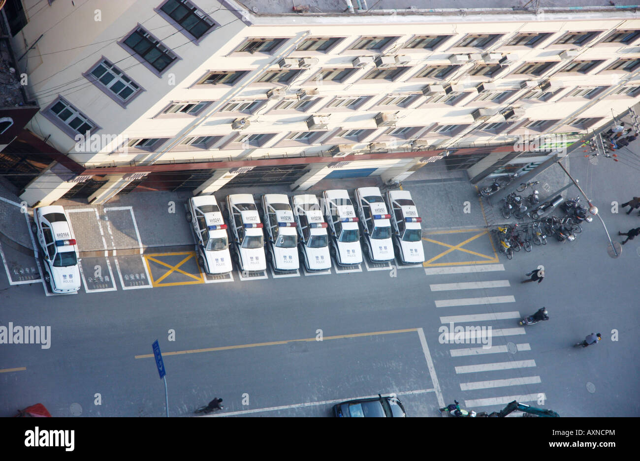 Shanghai Police building and police car lineup Stock Photo - Alamy