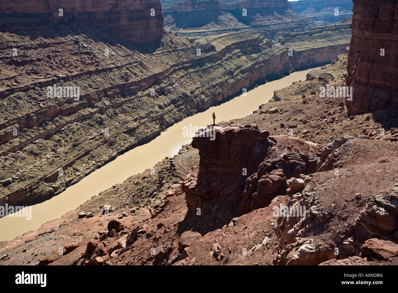 person standing on rock with colorado river in backround, Utah Stock ...