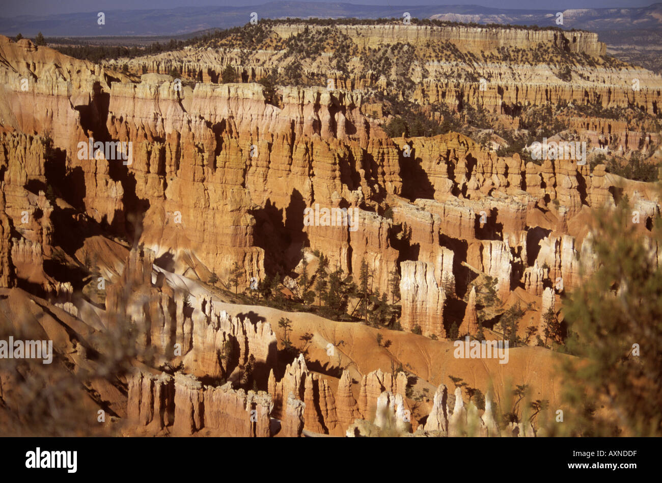 Hoodoos at Bryce Canyon Utah National Park Stock Photo - Alamy