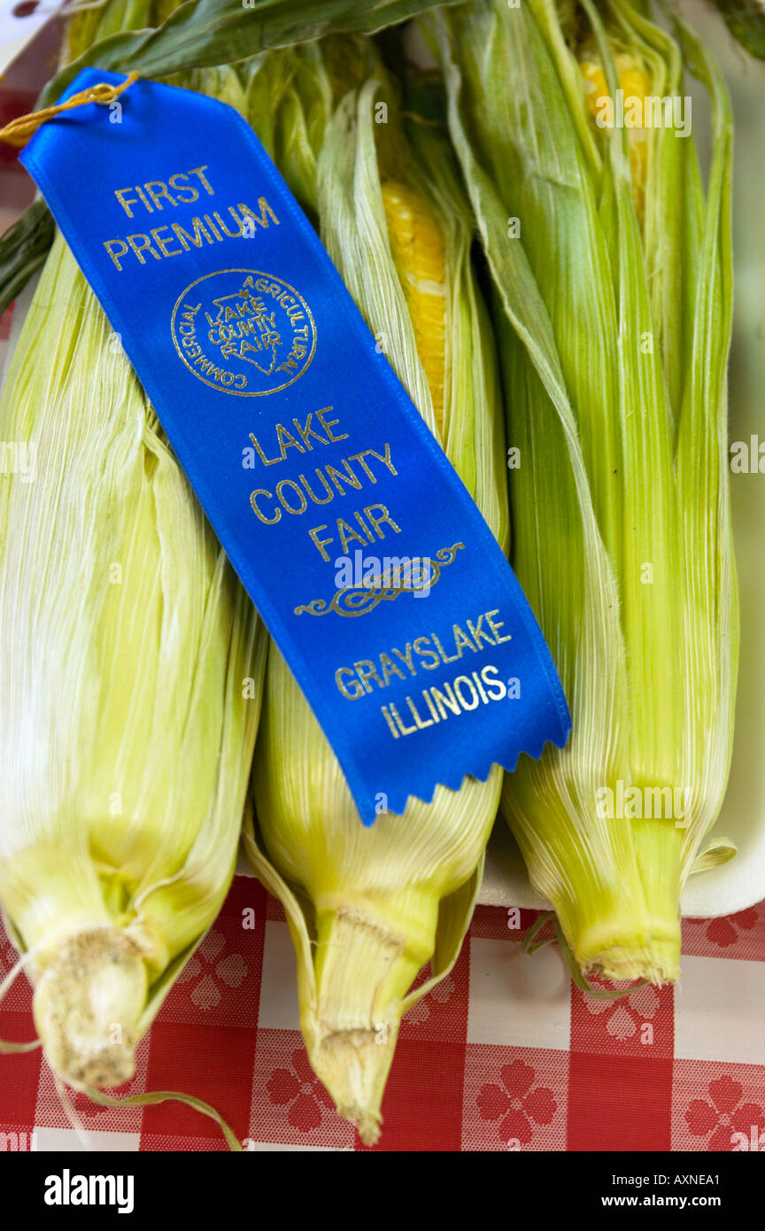 Corn ear contest hi-res stock photography and images - Alamy