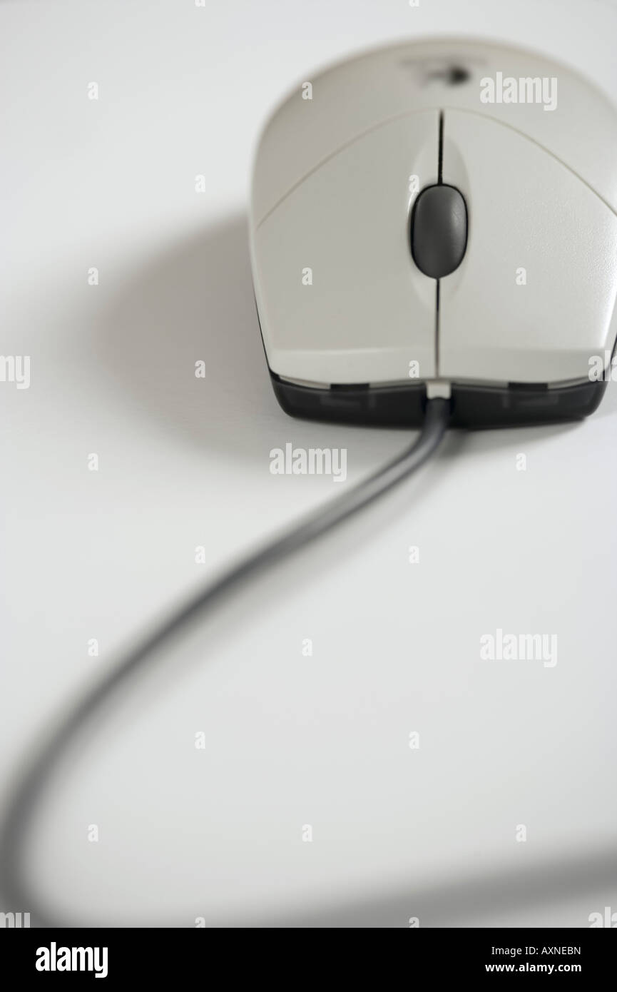 Close-up of a scroll mouse Stock Photo - Alamy