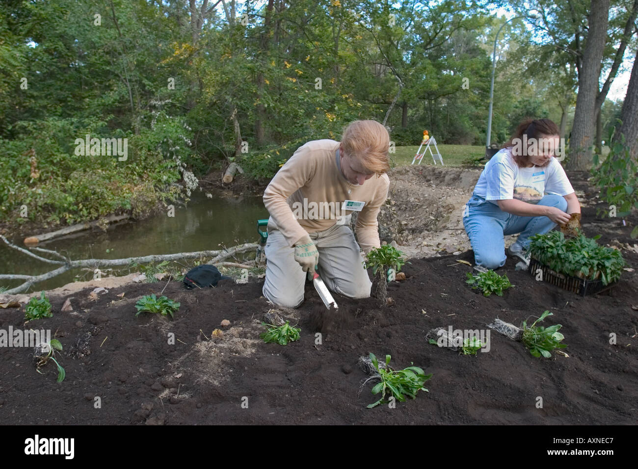 Volunteers Restore Native Plants to City Park Stock Photo - Alamy
