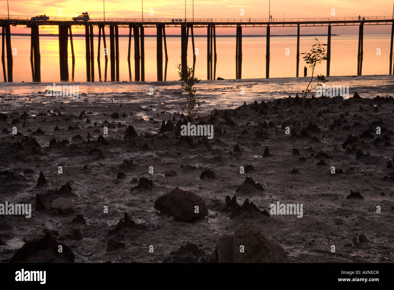 Derby wharf hi-res stock photography and images - Alamy