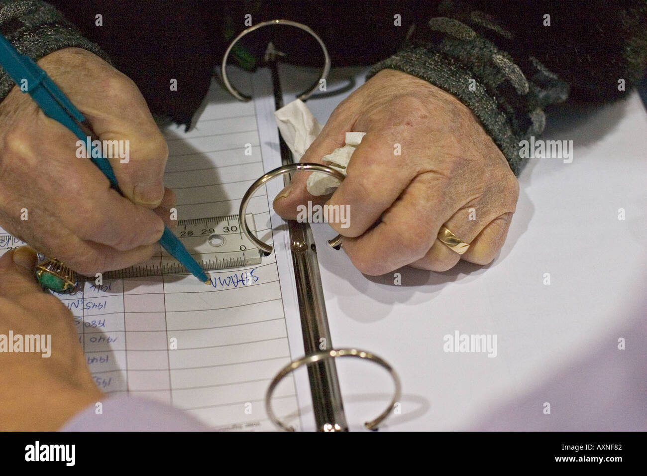 Iraq election 2005 hi-res stock photography and images - Alamy