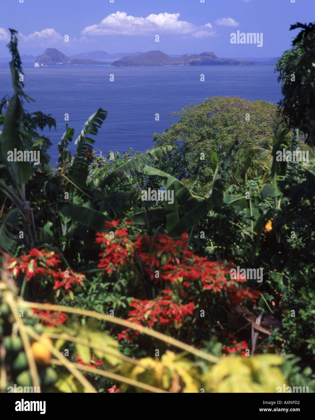 Grenada Grenadines from mount Rodney Stock Photo - Alamy