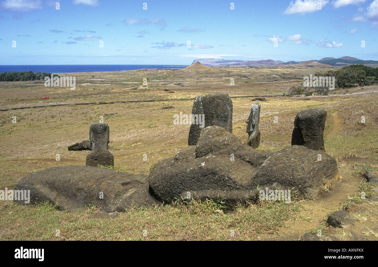 Rapa Nui Fallen moai giant heads Huge head facing skywards Black basalt ...