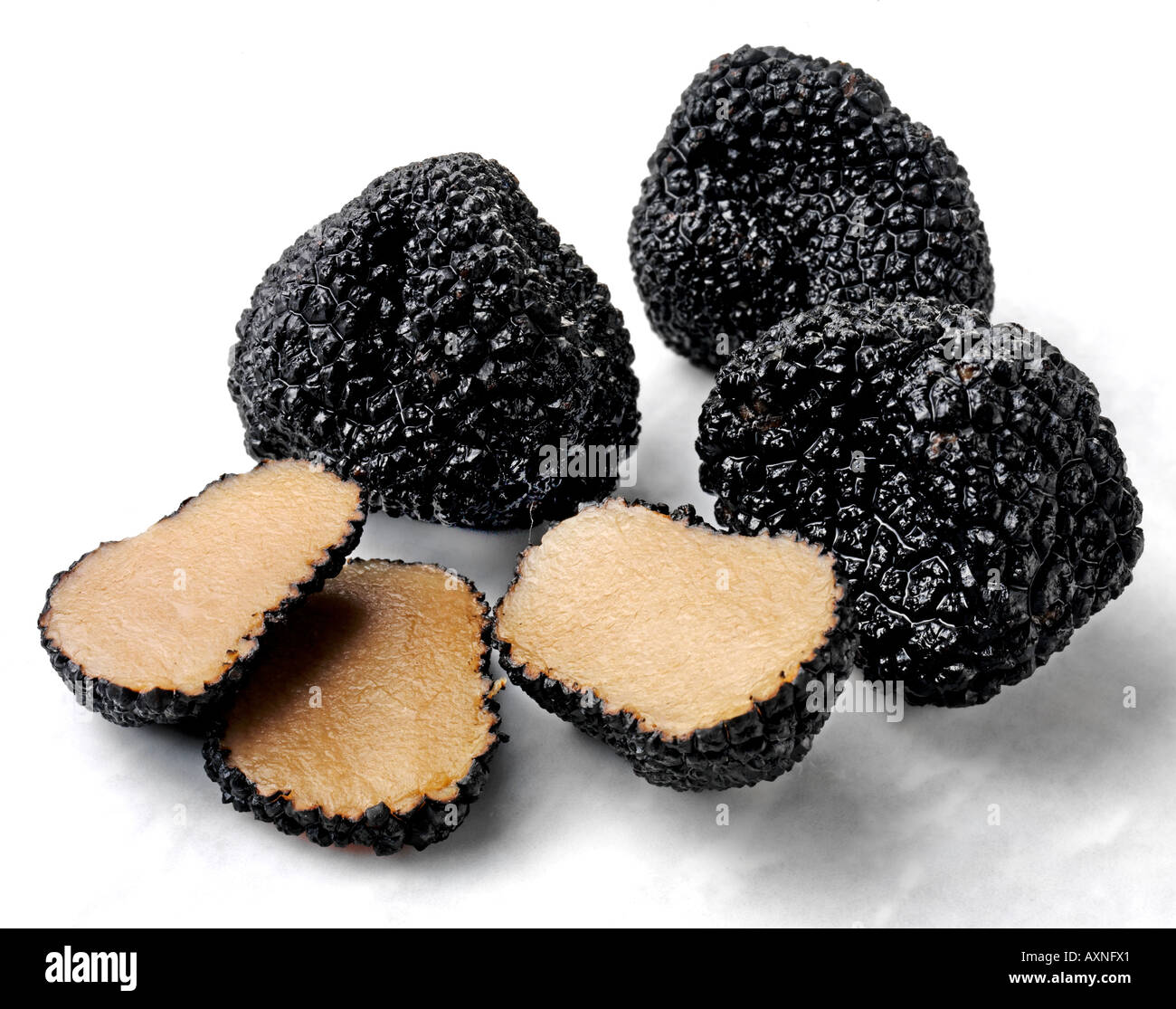 Black truffle tuber melanosporum Cut Out Stock Images & Pictures - Alamy