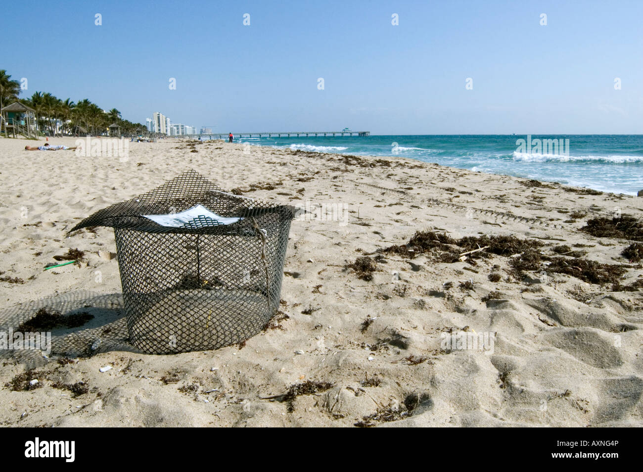 Turtle protection hi-res stock photography and images - Alamy