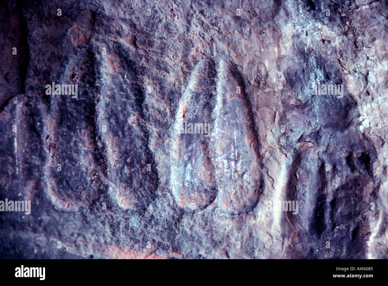 Ancient San Pictographs, Hwange Stock Photo - Alamy