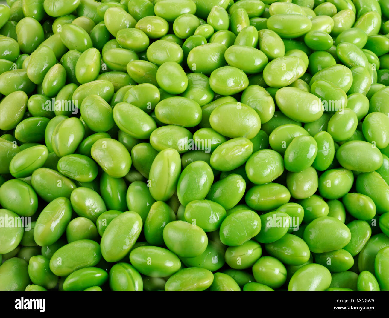 FRESH VEGETABLE SOYA BEANS Stock Photo - Alamy
