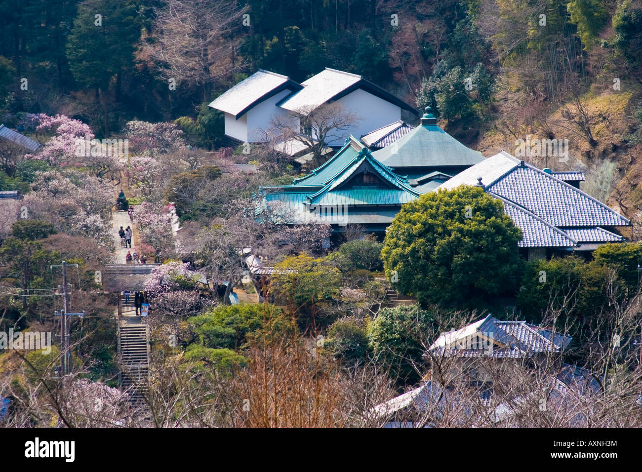 Aerial view of the building roofs in the Tokeiji Zen Buddhist Temple in ...