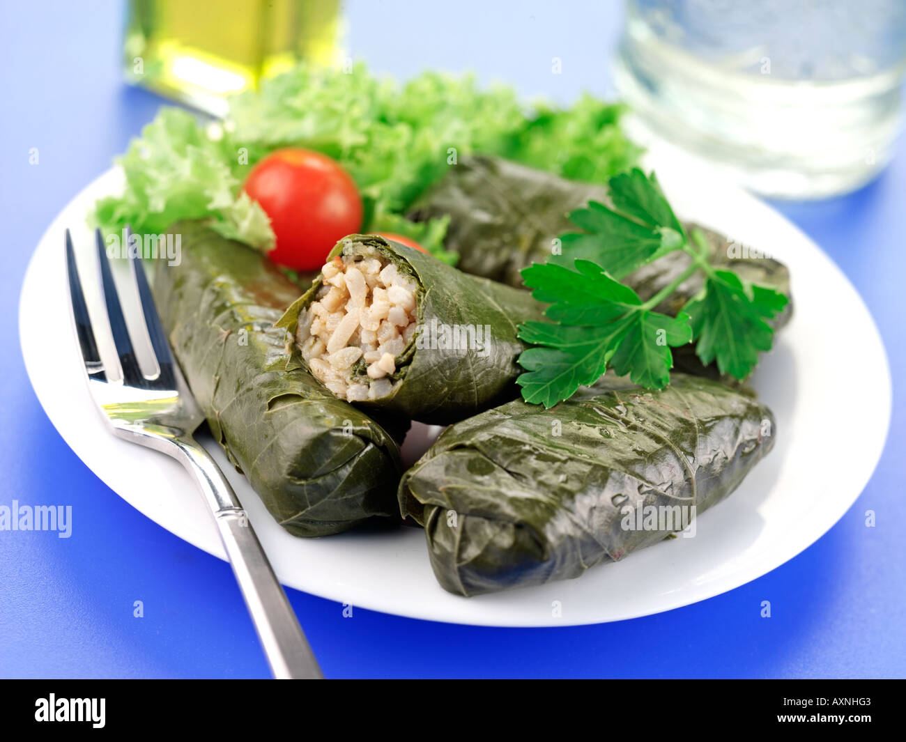 Dolmades rice fork hi-res stock photography and images - Alamy